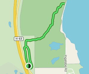 Foley Creek Trail: 87 Reviews, Map - Michigan | AllTrails