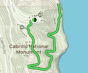 Bayside Trail: 1275 Reviews, Map - California | AllTrails