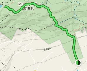 Mud Pond Trail via Awosting Reserve: 9 Reviews, Map - New York | AllTrails