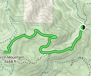 Larch Mountain via Tarbell Trail: 236 Reviews, Map - Washington | AllTrails
