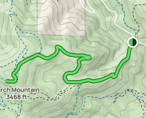 Larch Mountain via Tarbell Trail, Washington - 254 Reviews, Map | AllTrails
