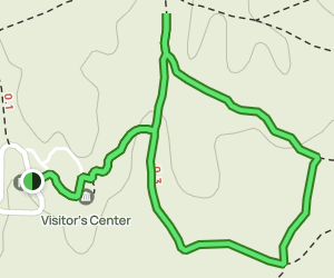 Old Growth Forest Trail: 284 Reviews, Map - Michigan | AllTrails