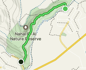 Nahal El Al and White Waterfall Red Trail: 158 foto - Alture del Golan ...