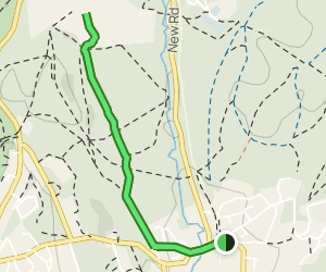 Whitecroft to Whitemead Forest Park: 7 Reviews, Map - Gloucestershire ...