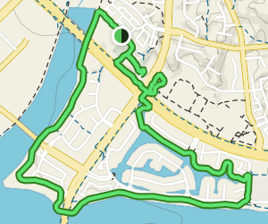 Bridgeport Loop: 281 Reviews, Map - California | AllTrails