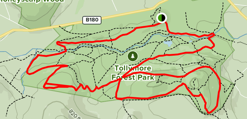 Are Dogs Allowed In Tollymore Forest Park