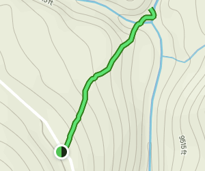 AllTrails | Adrenaline Falls: 143 Reviews, Map - Colorado