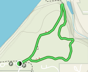 Primitive Trail Loop, Washington - 526 Reviews, Map | AllTrails