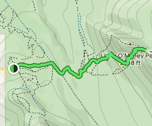 Little O'Malley Peak Trail: 911 fotos - Alaska | AllTrails