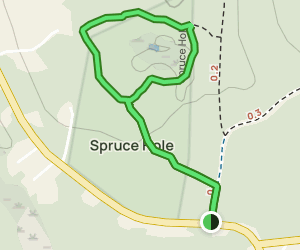 Spruce Hole Bog Trail Loop: 67 Reviews, Map - New Hampshire | AllTrails
