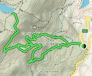Cecelia Forest to De Villiers Dam Loop: 27 Reviews, Map - Western Cape ...