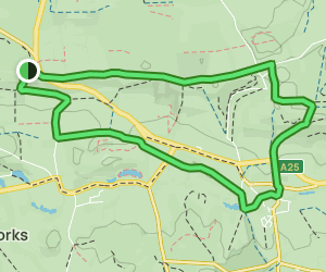 Newlands Corner and Shere Circular: 50 Reviews, Map - Surrey, England ...