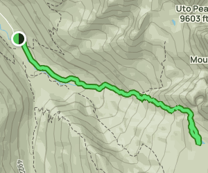 Perley Rock Trail: 266 Reviews, Map - British Columbia, Canada | AllTrails