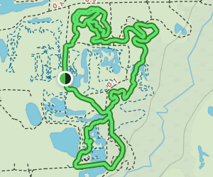 Sand Pine, Rock Garden and North Creek Trails Loop: 223 Reviews, Map ...