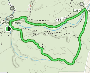 Turkey Run 1, 2, and 4 Trail Loop, Indiana - 133 Reviews, Map | AllTrails