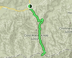 Spence Field via Lead Cove Trail, Tennessee - 75 Reviews, Map | AllTrails