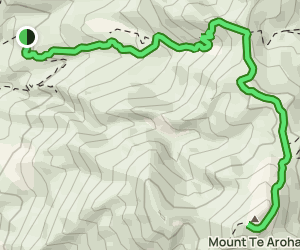 Tui Mine - Te Aroha Track: 11 Reviews, Map - Waikato, New Zealand ...
