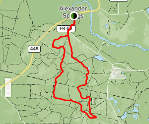 Alexander Springs Loop - Florida | AllTrails