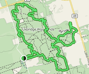 Uxbridge Woodlands Loop: 184 Reviews, Map - Ontario, Canada | AllTrails