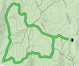 Pinnacle Track Loop: 12 Reviews, Map - Victoria, Australia | AllTrails