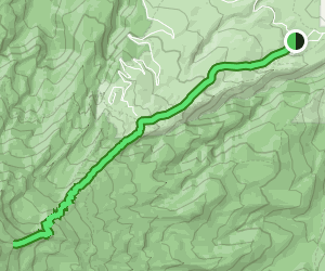 Cooper Spur Trail via Tilly Jane Trail: 328 Reviews, Map - Oregon ...