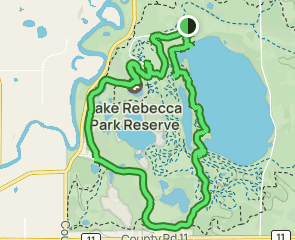 Lake Rebecca West Loop, Minnesota - 266 Reviews, Map | AllTrails