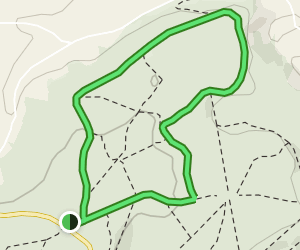 Wentwood Forest Circular: 184 Reviews, Map - Monmouthshire, Wales ...