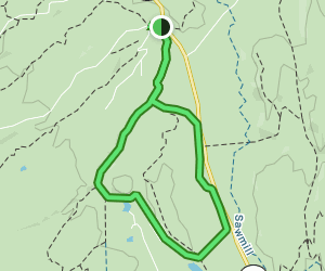 Quaking Aspen to Y2K Trail Loop: 18 Reviews, Map - New Mexico | AllTrails