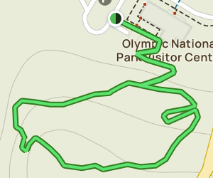 Living Forest Trail: 115 Reviews, Map - Washington | AllTrails