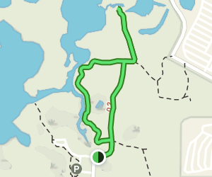 Salt Springs Trail: 280 Reviews, Map - Florida | AllTrails