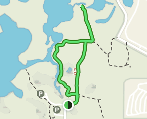 Salt Springs Trail, Florida - 296 Reviews, Map | AllTrails