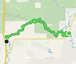 Manistique River Paddle Route: 2 Reviews, Map - Michigan | AllTrails
