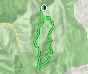 Wheeler Peak East Approach Loop | Map, Guide - New Mexico | AllTrails