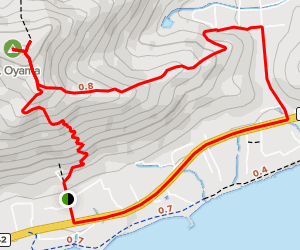 Mount Otto-Oyama - Tajiri Loop | Map, Guide - Aichi, Japan | AllTrails