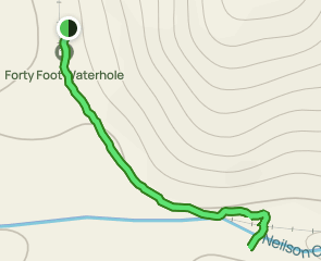 Forty Foot Water Hole Walk: 11 Reviews, Map - Queensland, Australia ...