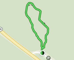 Pineland Trail, Florida - 295 Reviews, Map | AllTrails