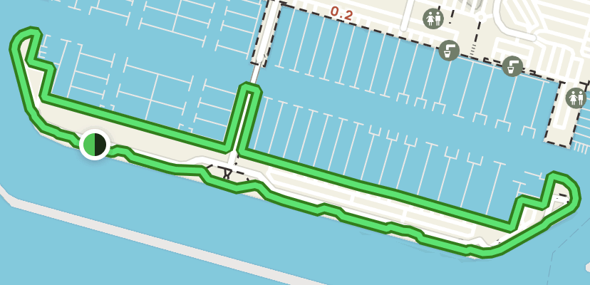 Are Dogs Allowed At Dana Point Harbor