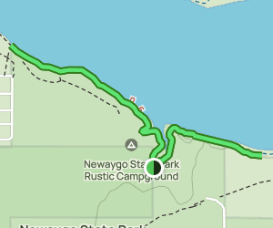 Newaygo Dragon Trail: 84 Reviews, Map - Michigan | AllTrails