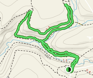 Forest Loop Trail: 160 Reviews, Map - Pennsylvania | AllTrails
