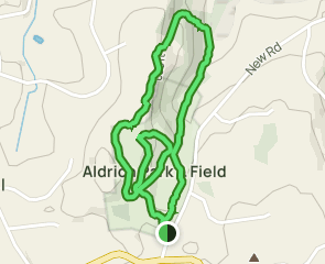 Aldrich Park and Town Open Space Trail Loop, Connecticut - 35 Reviews ...