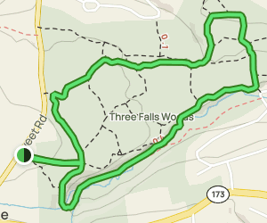 Three Falls Woods: 649 Reviews, Map - New York | AllTrails