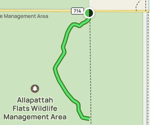 AllTrails | Allapatah Flats Trail: 28 Reviews, Map - Florida