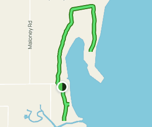 Pinconning Park Trail: 20 Reviews, Map - Michigan | AllTrails