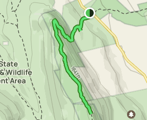 Appalachian Trail: Jug End Road to Mount Bushnell: 205 Fotos ...