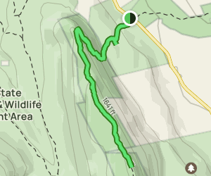 Appalachian Trail: Jug End Road to Mount Bushnell, 200 Photos ...