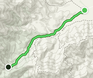 AllTrails | Thirteen Mile Bush track to Benmore Hut: 14 Reviews, Map ...