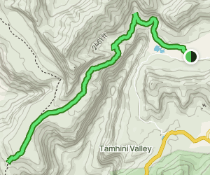 Andharban Trail | Map, Guide - Maharashtra, India | AllTrails