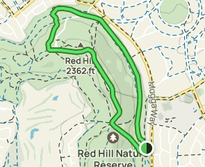 Red Hill Lookout Loop, Australian Capital Territory, Australia - 62 ...