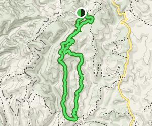 Waitahinga Dam Loop: 26 Reviews, Map - Manawatu-Wanganui, New Zealand ...