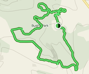 Bushy Park Walk: 28 Reviews, Map - Manawatu-Wanganui, New Zealand ...